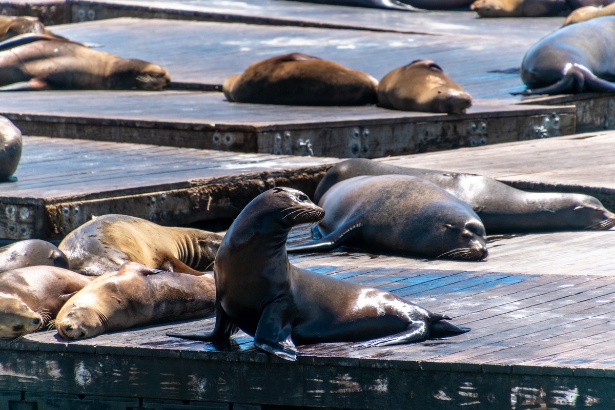 Spotlight On Cowichan Bay - Cheers Mygo Cowichan Tours